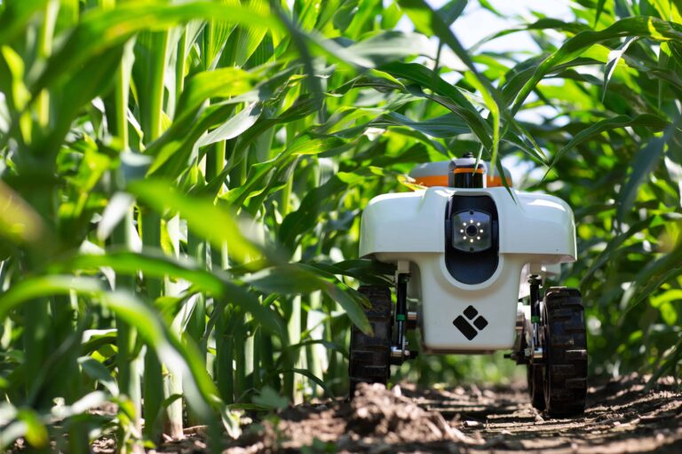 Ag Robots to Help Scientists Identify Heritable Traits and Increase ...