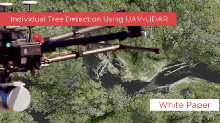 Individual Tree Detection Using UAV-LiDAR & UAV-SfM Data: A Tutorial ... Individual Tree Detection Using UAV-LiDAR & UAV-SfM Data: A Tutorial ...