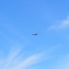 Developmental UAS Test Aircraft Successfully Flown | UST