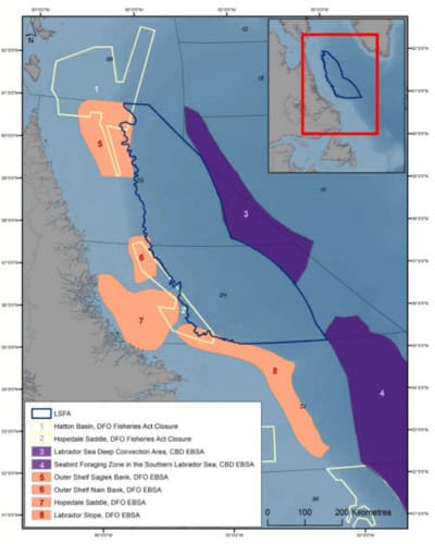 SubC’s Autonomous Imaging Drives Critical Data Collection in the ...