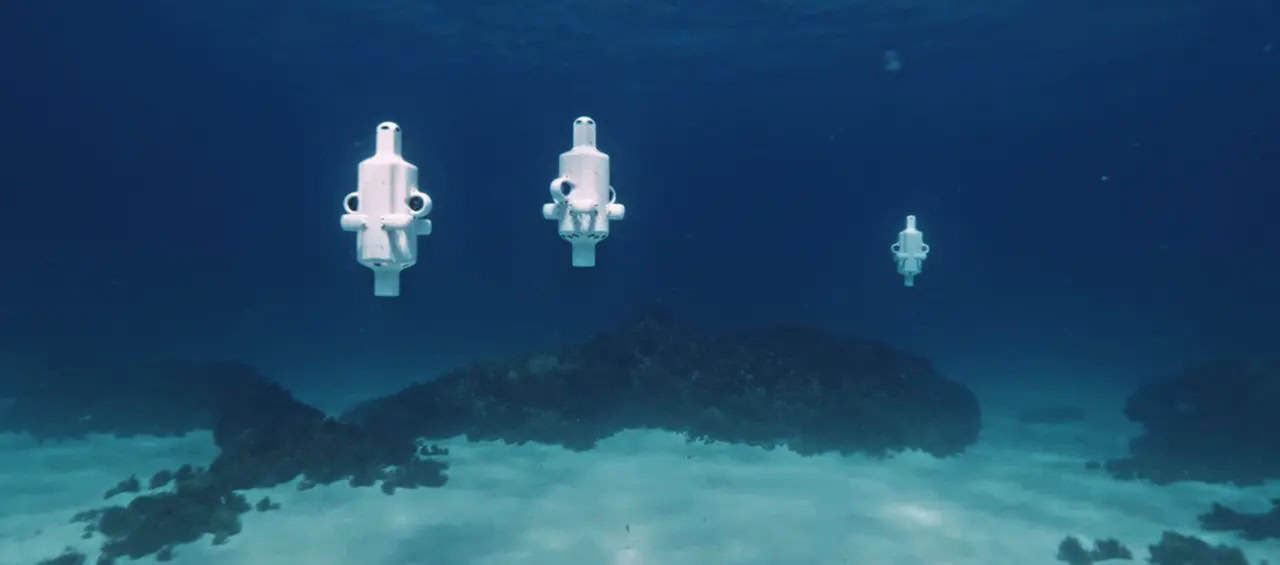 Advanced Navigation’s Micro AUV Reveals Coral Bleaching at Remote ...